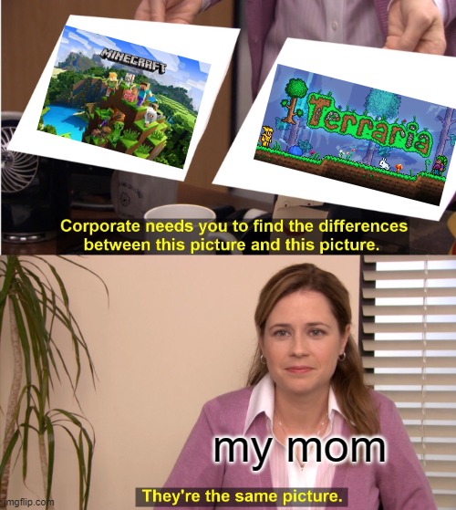 Terraria or Minecraft vs My mom - Imgflip