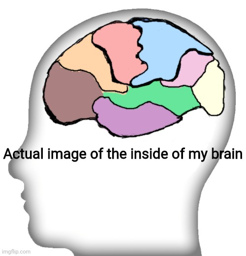Actual Image Of The Inside Of My Brain Blank Template Imgflip