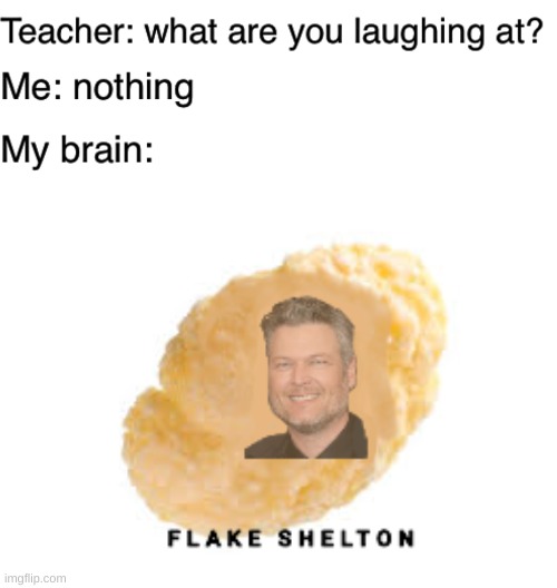 f l a k e s h e l t o n - Imgflip