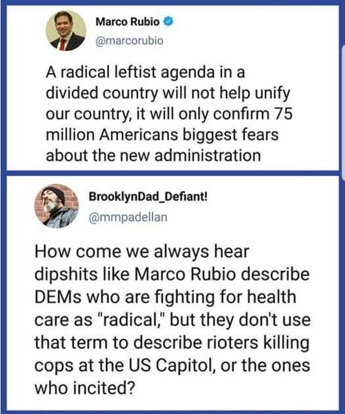 Marco Rubio radical leftist Blank Template - Imgflip