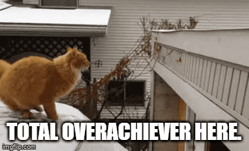 Funny Overachiever Memes Consulting Humor | Where Are You On This