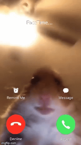 Facetime? ? - Imgflip