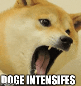 Doge - Imgflip