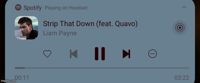 Liam Payne has some okayish songs, I still prefer Niall, Harry and ...