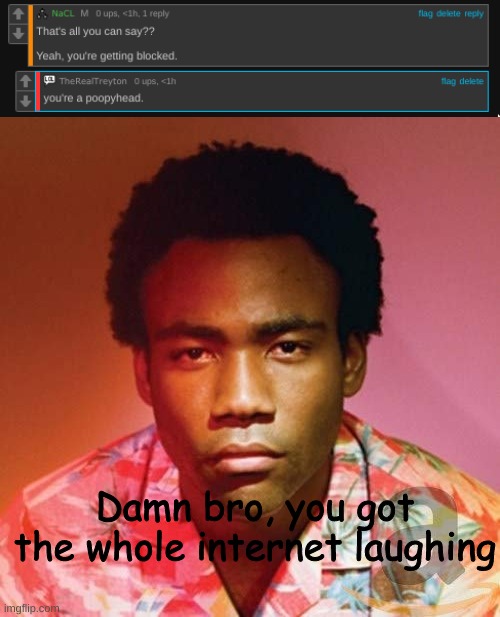 Image tagged in damn bro u got the whole internet laughing - Imgflip