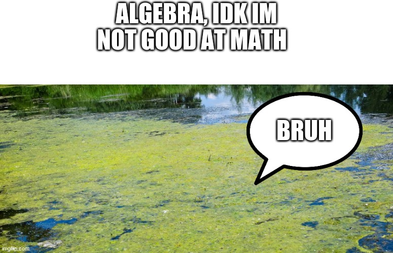 idk im not good at memes - Imgflip