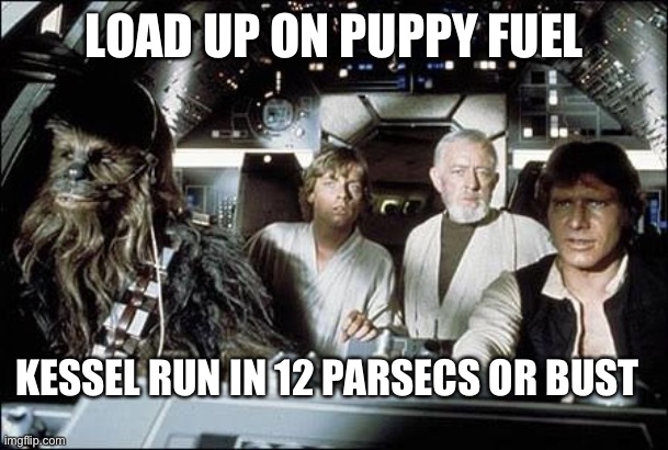 Kessel Run More Like Doge Run - Imgflip