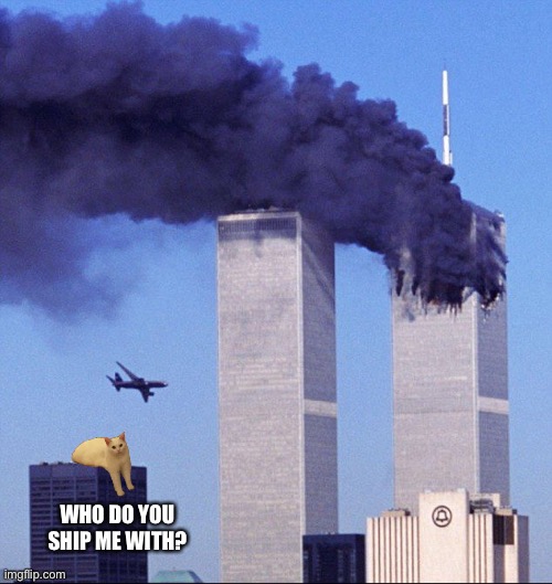 Twin towers and cat - Imgflip