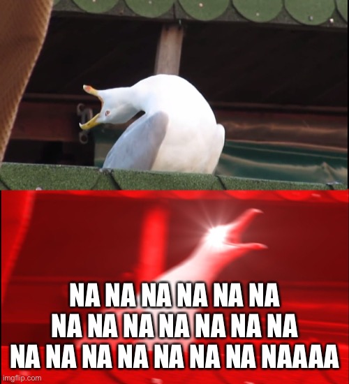 Screaming bird - Imgflip