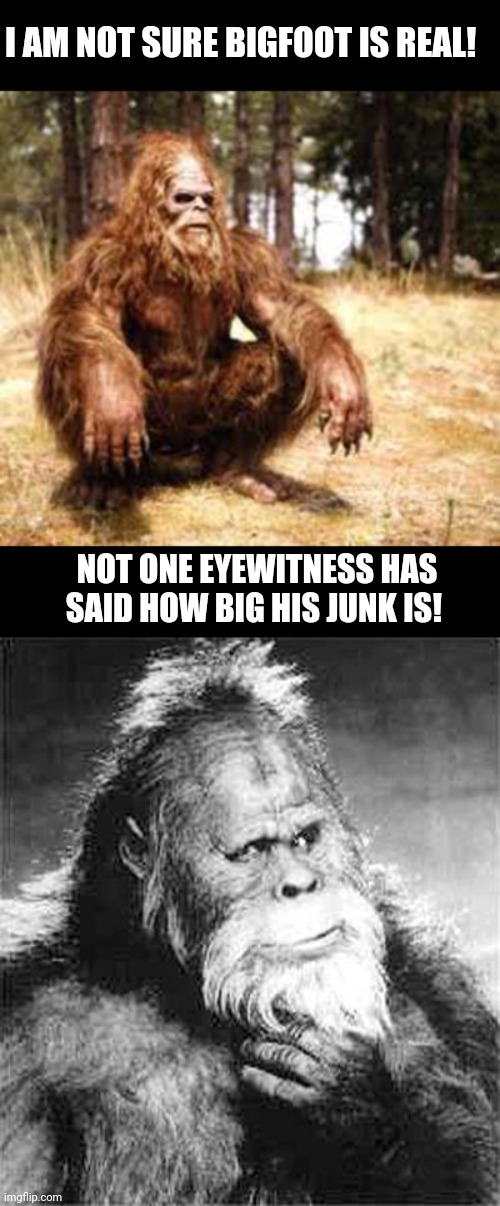 Bigfoot Junk - Imgflip