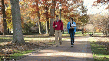 Pave the Way - reserve your personalized brick before Dec. 1 - Imgflip
