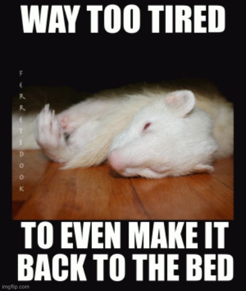 my dumbass been on the floor for 4 hours lol - Imgflip