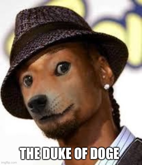 snoop doge. Aka the duke of doge ???? - Imgflip