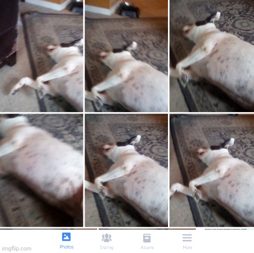 My camera roll: - Imgflip