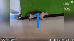 controler disconected please reconnect wireless controller - Imgflip