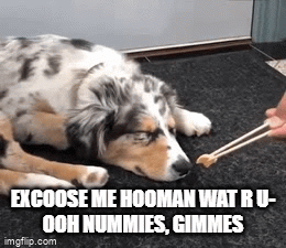 nummies - Imgflip
