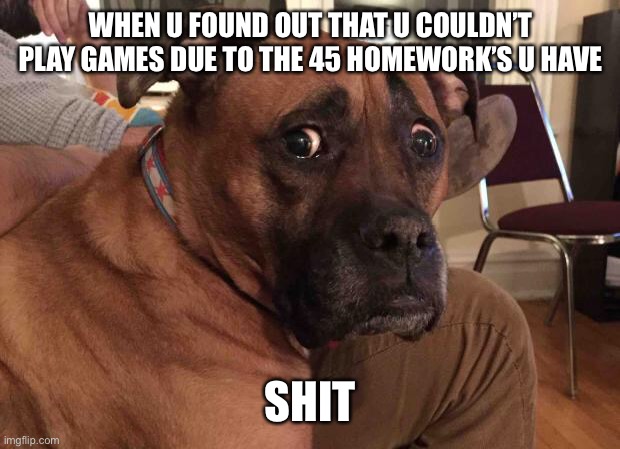 Constantly Concerned Canine - Imgflip