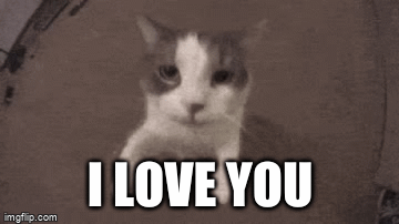 I love you - Imgflip