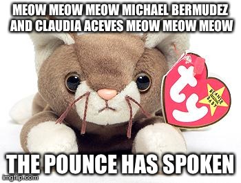 Image tagged in pounce - Imgflip