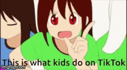 This is what kids do on tik tok - Imgflip