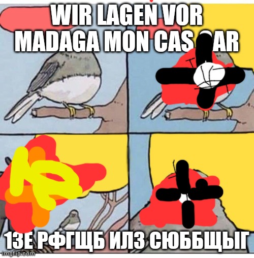 annoyed bird - Imgflip