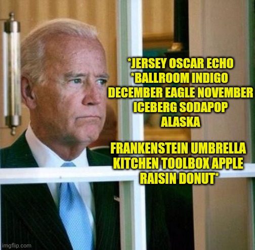 Sad Joe Biden - Imgflip