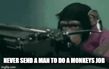 Monkey Typing - Imgflip