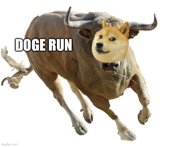 DOGE RUN - Imgflip