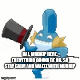 Dancing Mudkip - Imgflip