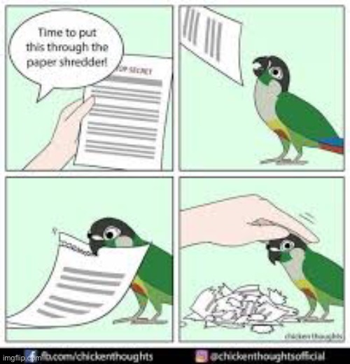 Personal Paper Shredder Imgflip