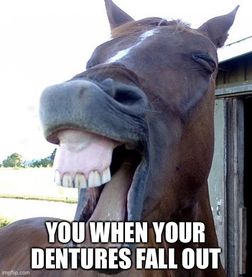 Funny Horse Face - Imgflip