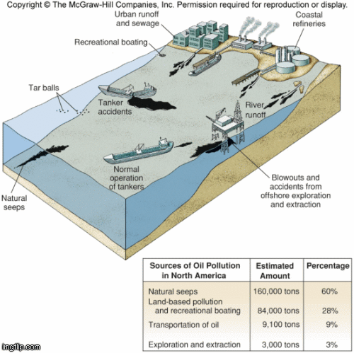 oil pollution - Imgflip