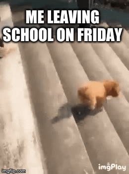 leaving school on Friday - Imgflip