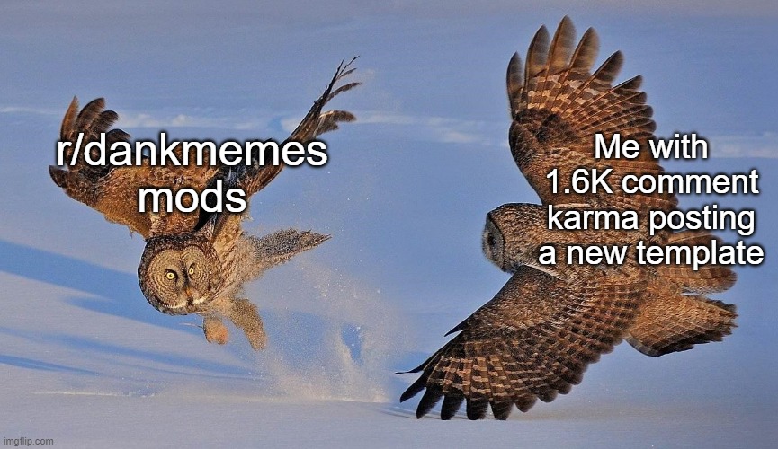 Startled Owl - Imgflip