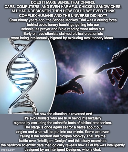Image tagged in intelligent design,god,creator,evolution,jesus - Imgflip