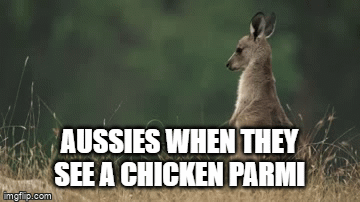 chicken parmi is a sandwich, obv - Imgflip