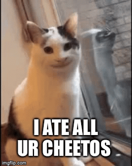 I ate them all - Imgflip