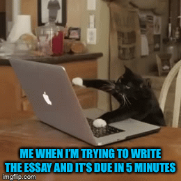 When you have to write your essay SUPER FAST - Imgflip