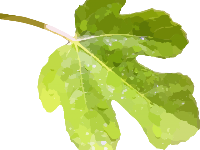 Fig leaf Blank Template - Imgflip