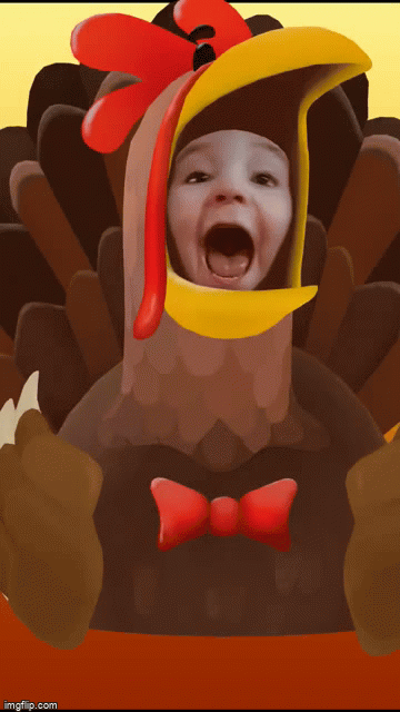 Baby chicken - Imgflip