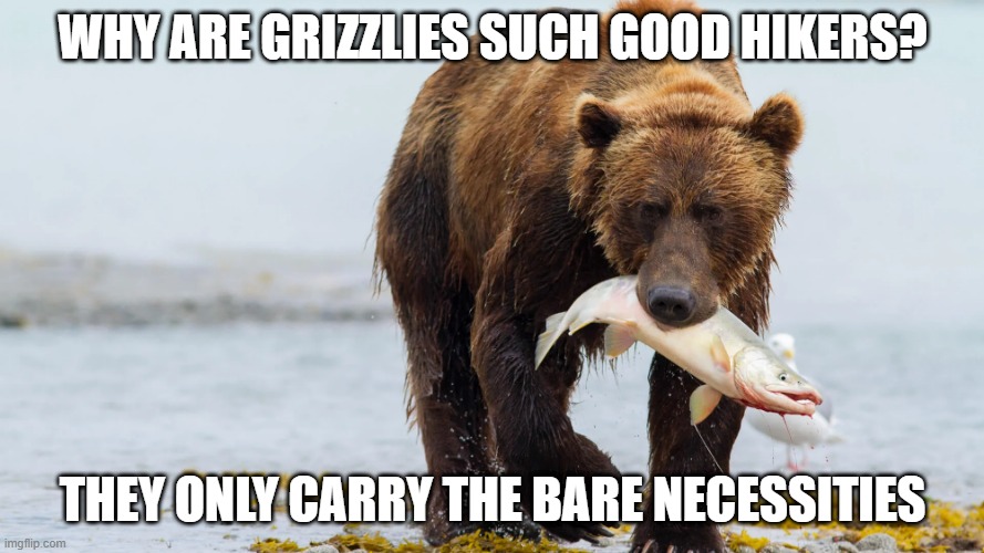 Bare Necessities - Imgflip