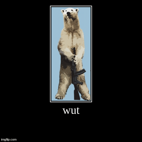 bear with gun - Imgflip