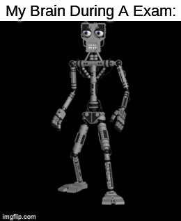 My Brain During A Exam: - Imgflip