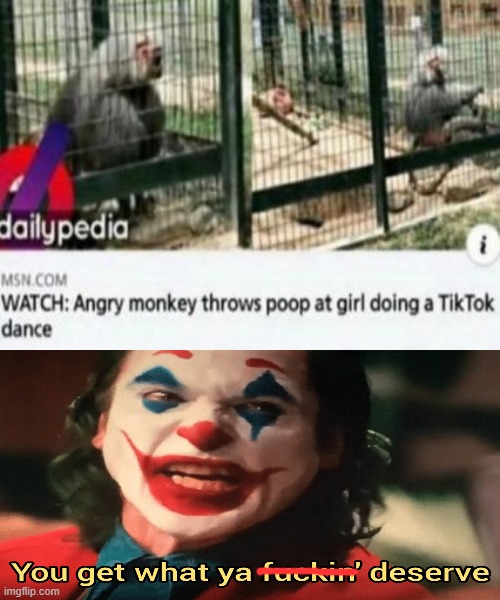 Look for that Monkey and give him the highest award possible... - Imgflip