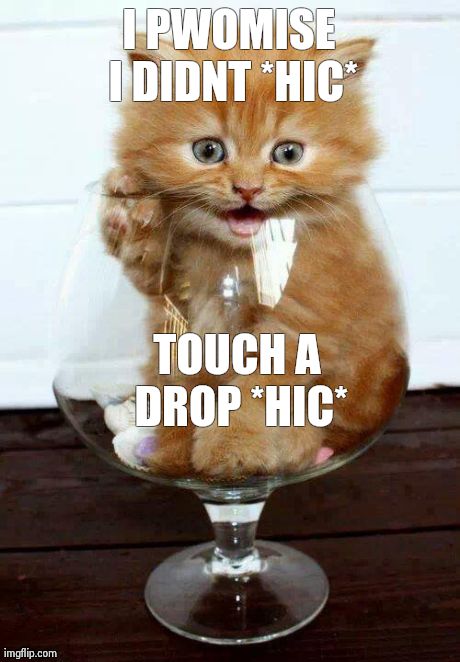 Image tagged in too cute - Imgflip