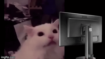 when you accidentally hit light mode - Imgflip