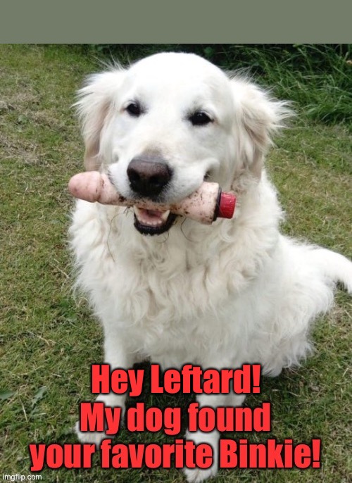 BLM Protester FAIL - Imgflip