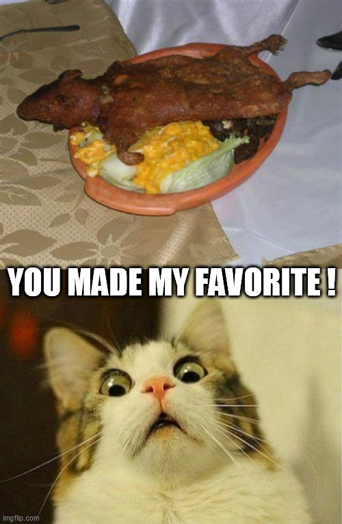 Image tagged in din din,memes,scared cat - Imgflip