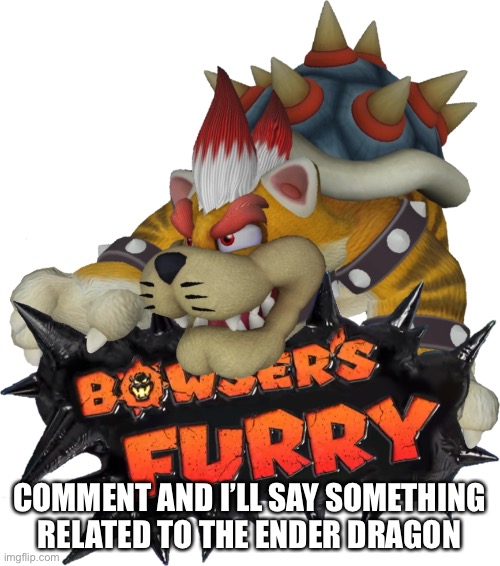 bowser’s furry - Imgflip