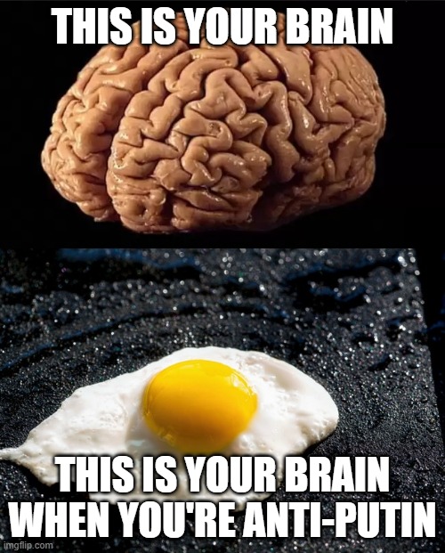 This is your brain - Imgflip
